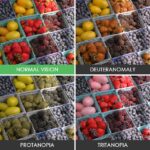 See the World Differently: a Guide to Colorblind-friendly Maps - Mapcreator